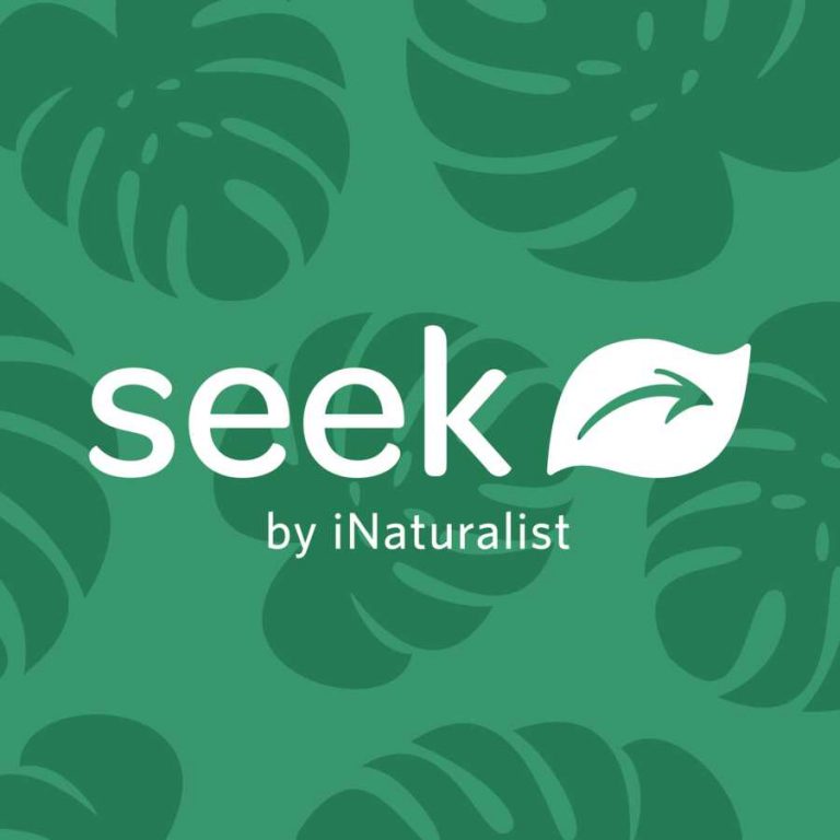 Seek – A Powerful Identification App – Prairie Garden Trust